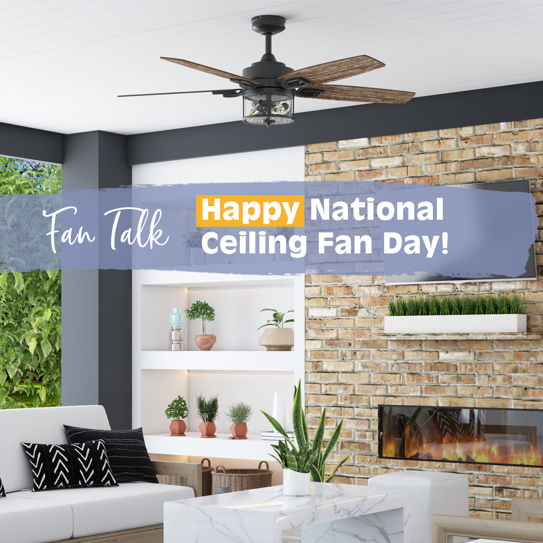 National Ceiling Fan Day – Prominence Home